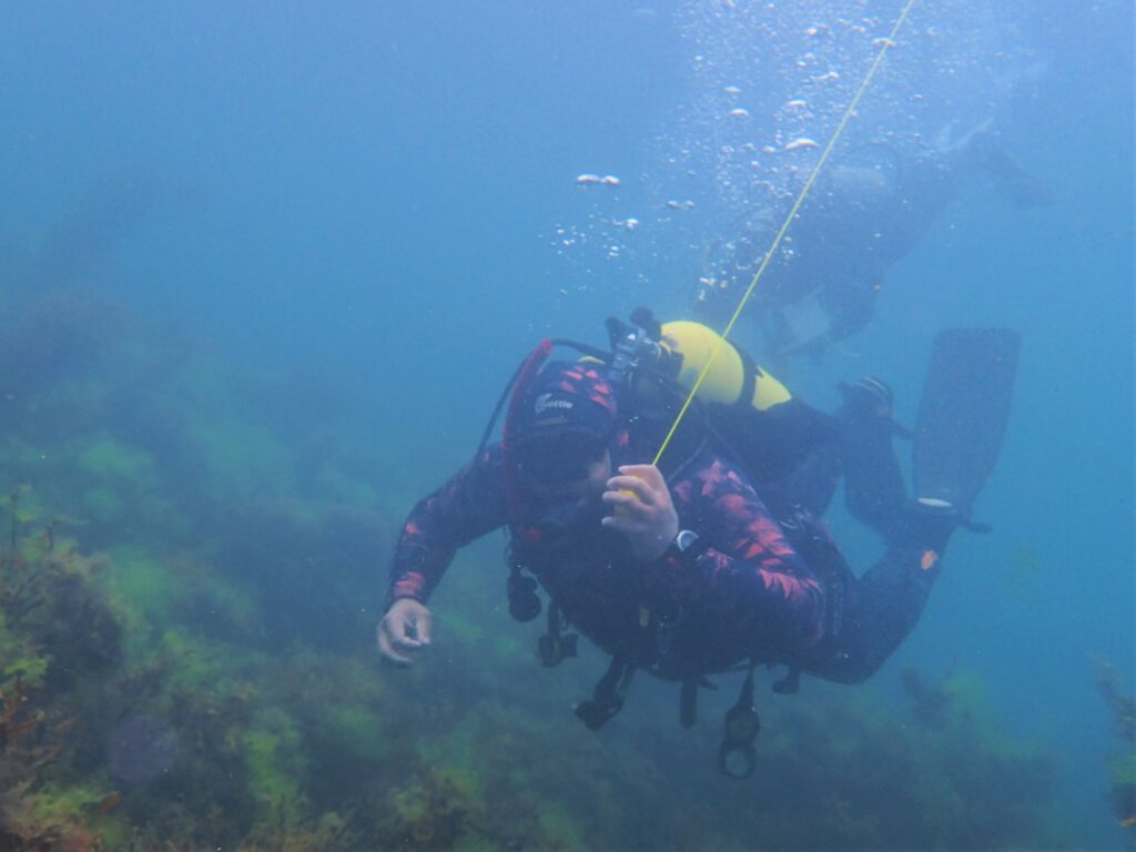 What are the top 10 Questions people have about scuba diving? (Part2 ...